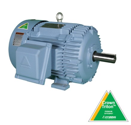 Power & Drive Solutions I VFDs and Motors